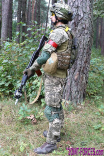 Ukrainian M14 Digital Pattern | Joint Forces News