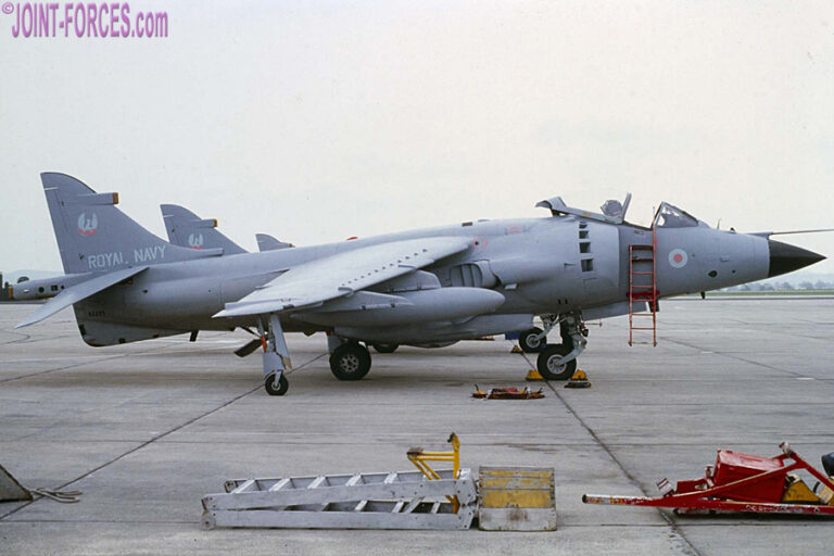 The Recommissioning of 809 Naval Air Squadron | Joint Forces News