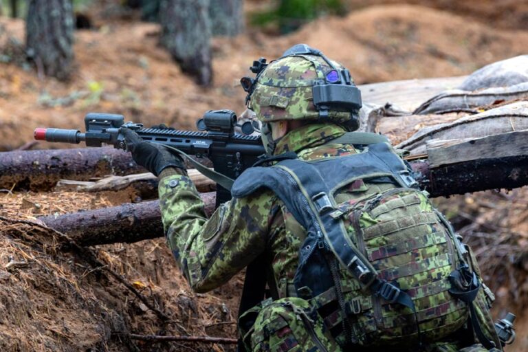 BOLD DRAGOON Allied Battle Group Integration Exercise | Joint Forces News