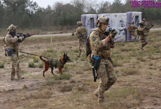 Herne XLUAV Archives | Joint Forces News